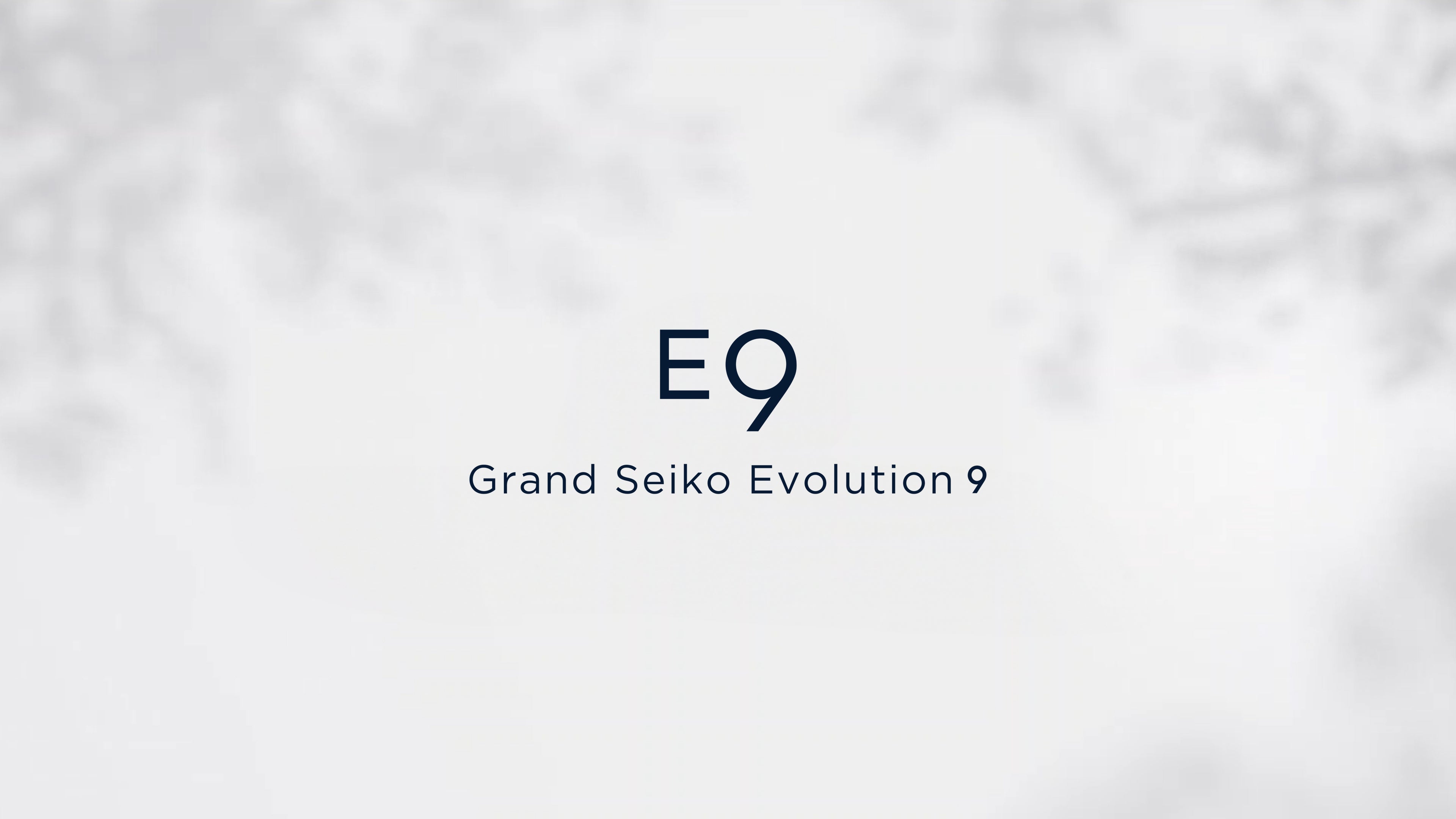エボリューション9 コレクション – グランドセイコー 公式オンラインストア – グランドセイコーブティックオンライン